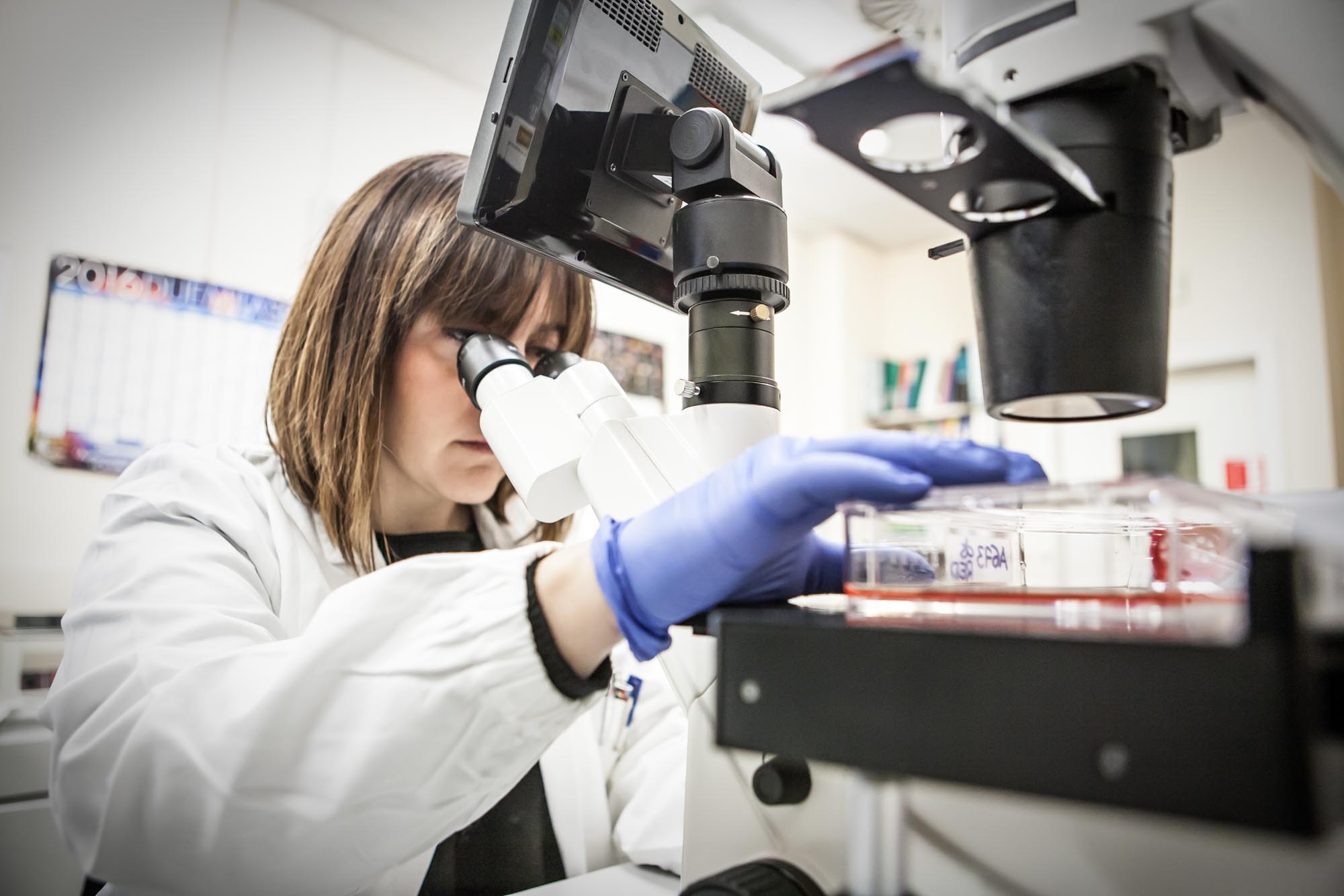 Rigenerand - Steps Ahead In Cell Technology