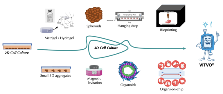 3d-cell-culture-bioreactor - Rigenerand
